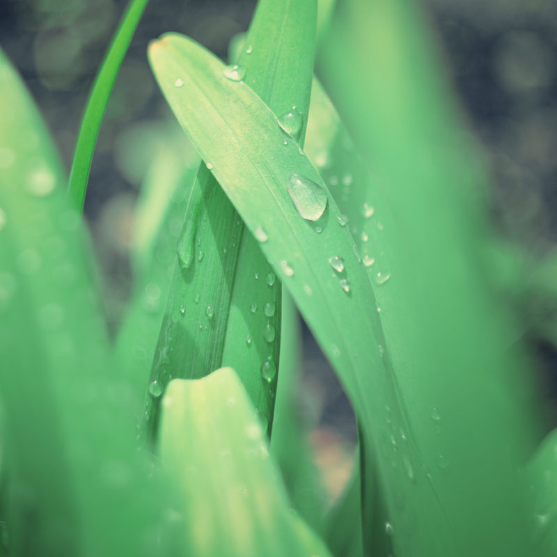 5 Key Principles of Using Photography in Presentations - Big Fish ...